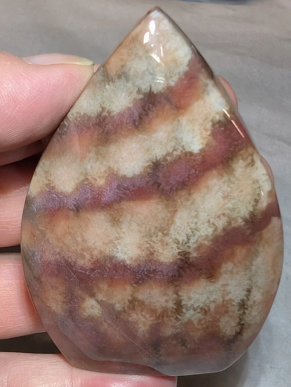 Accents | Agatized Fossil Coral Tear | Poshmark